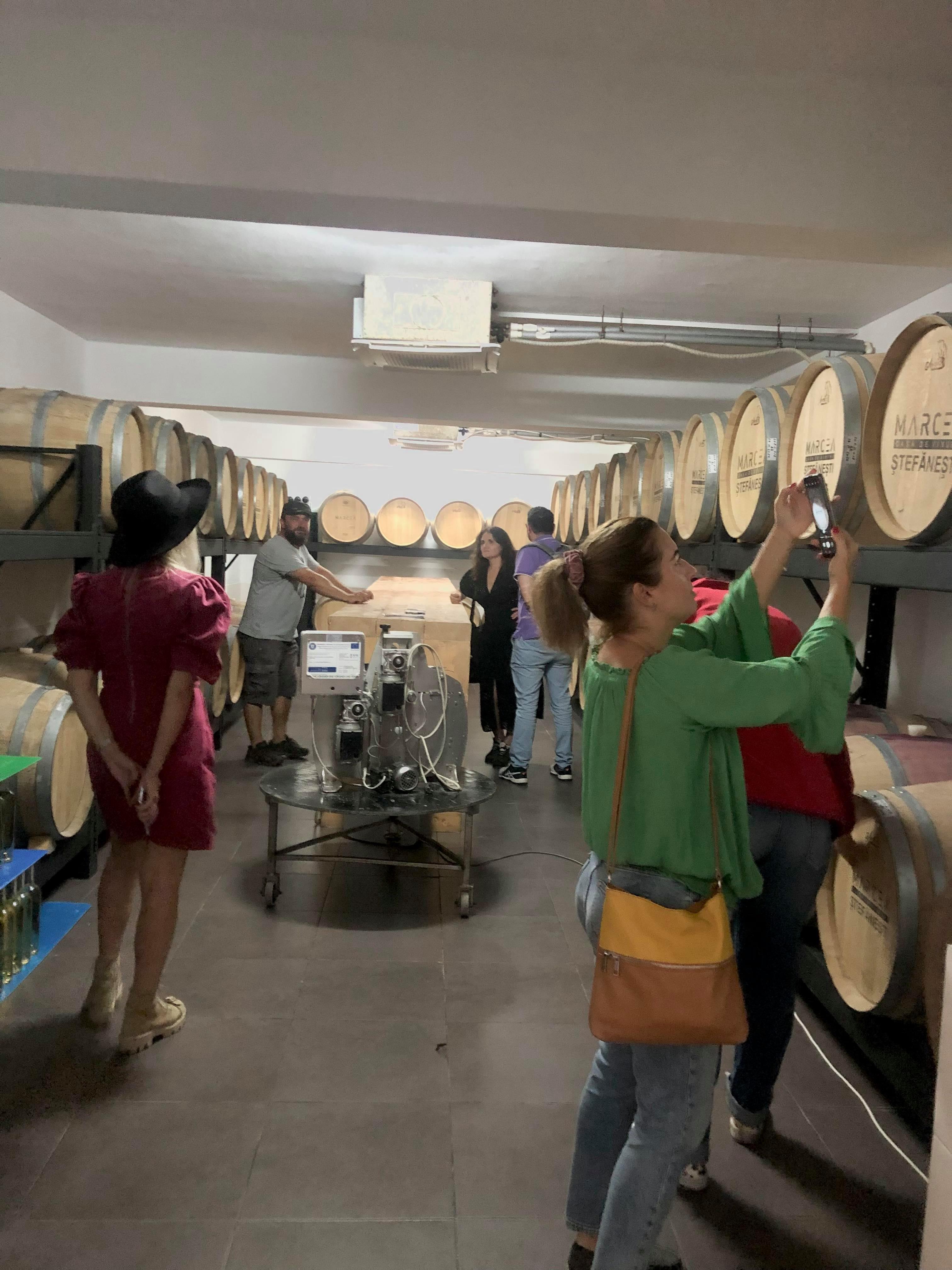 Arta și Vin la Crama Marcea (cu cele mai bune vinuri ale cramei) și ...